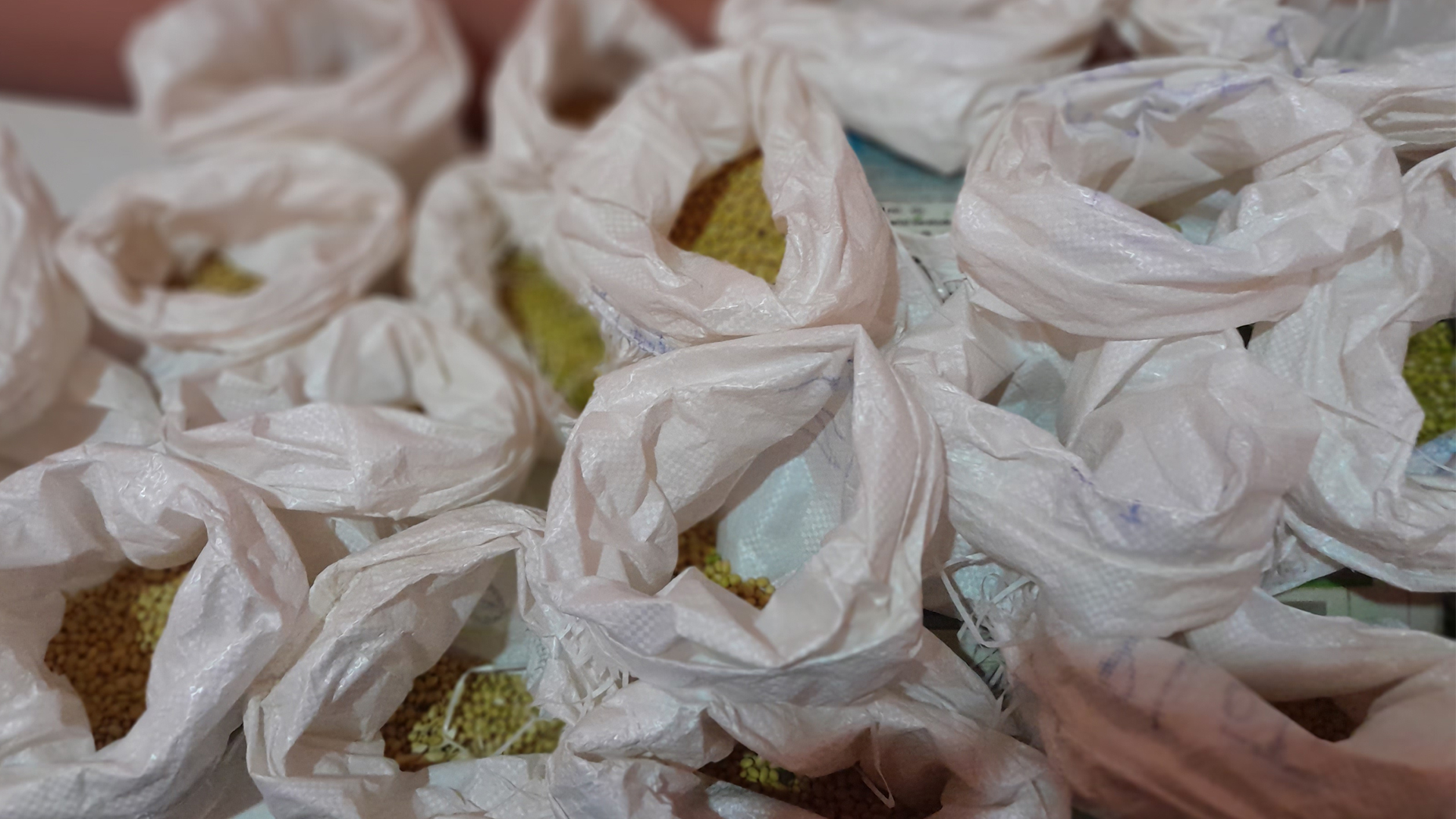 Africa Agricultural & Forestry Research Cente (AFREC)